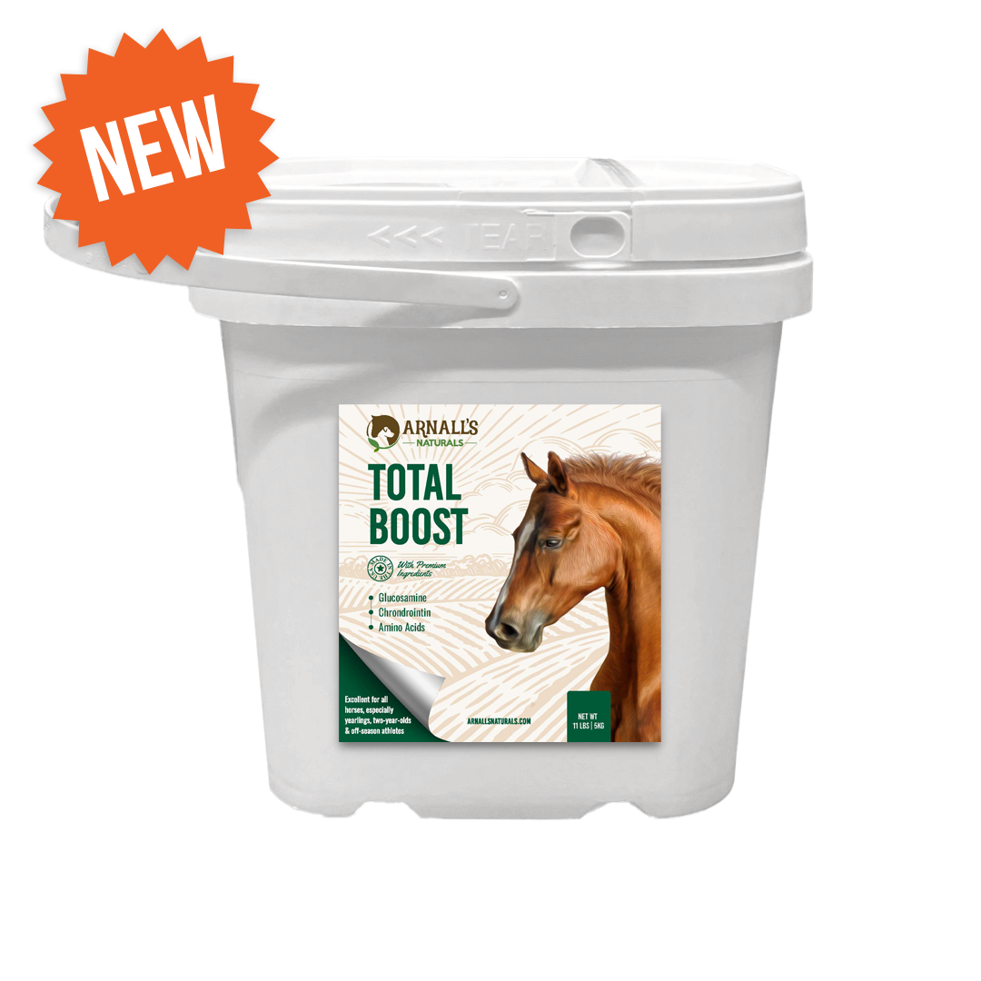 Total Boost: Total Wellness and Maintenance Boost – Arnall's Naturals